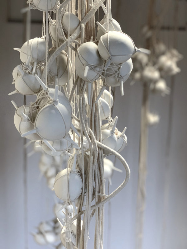 » Rémy Dubibé : Rhizome