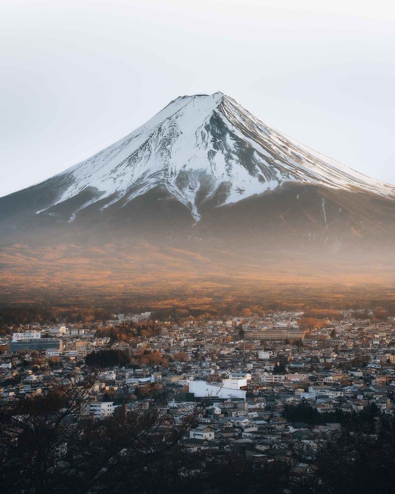 » WHITEWALL | Luke STACKPOOLE